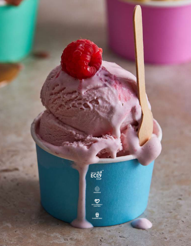 Eco-Friendly Ice Cream Cups | Compostable Dessert Tubs | BPM Trading ...